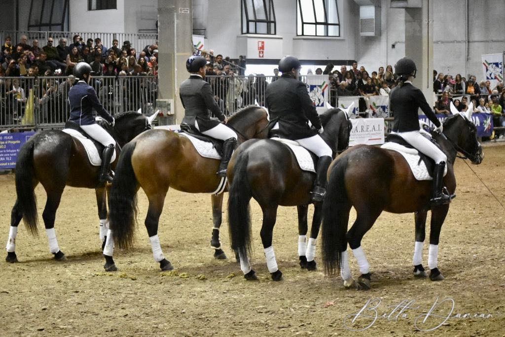 Cavallo del Catria protagonista alla Fiera Cavalli di Verona | Non solo ...